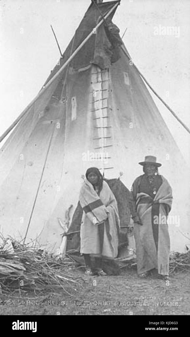 Three bulls hi-res stock photography and images - Alamy