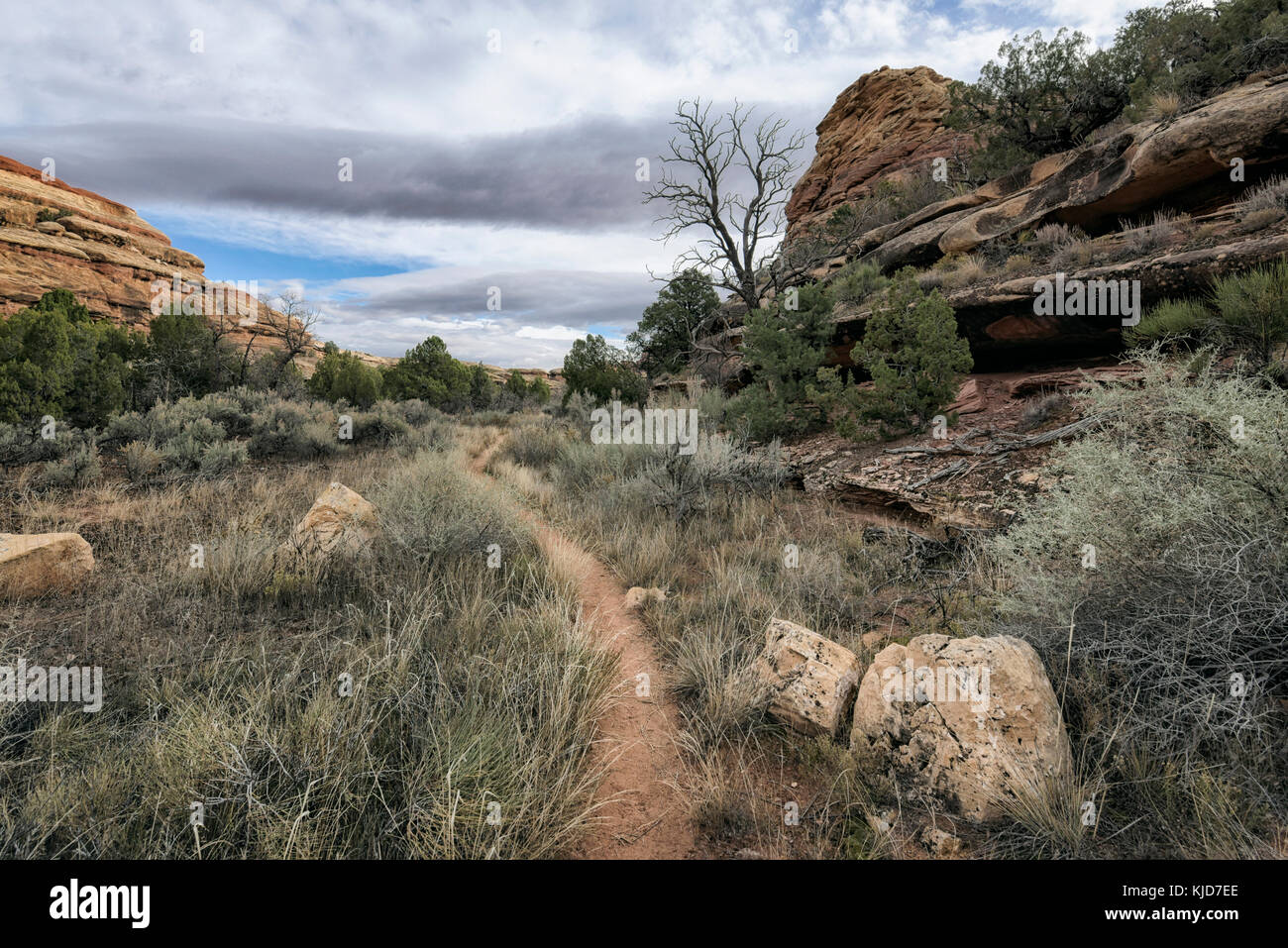 "Clouds over path in desert, Moab, Utah, United States Stock Photo - Alamy