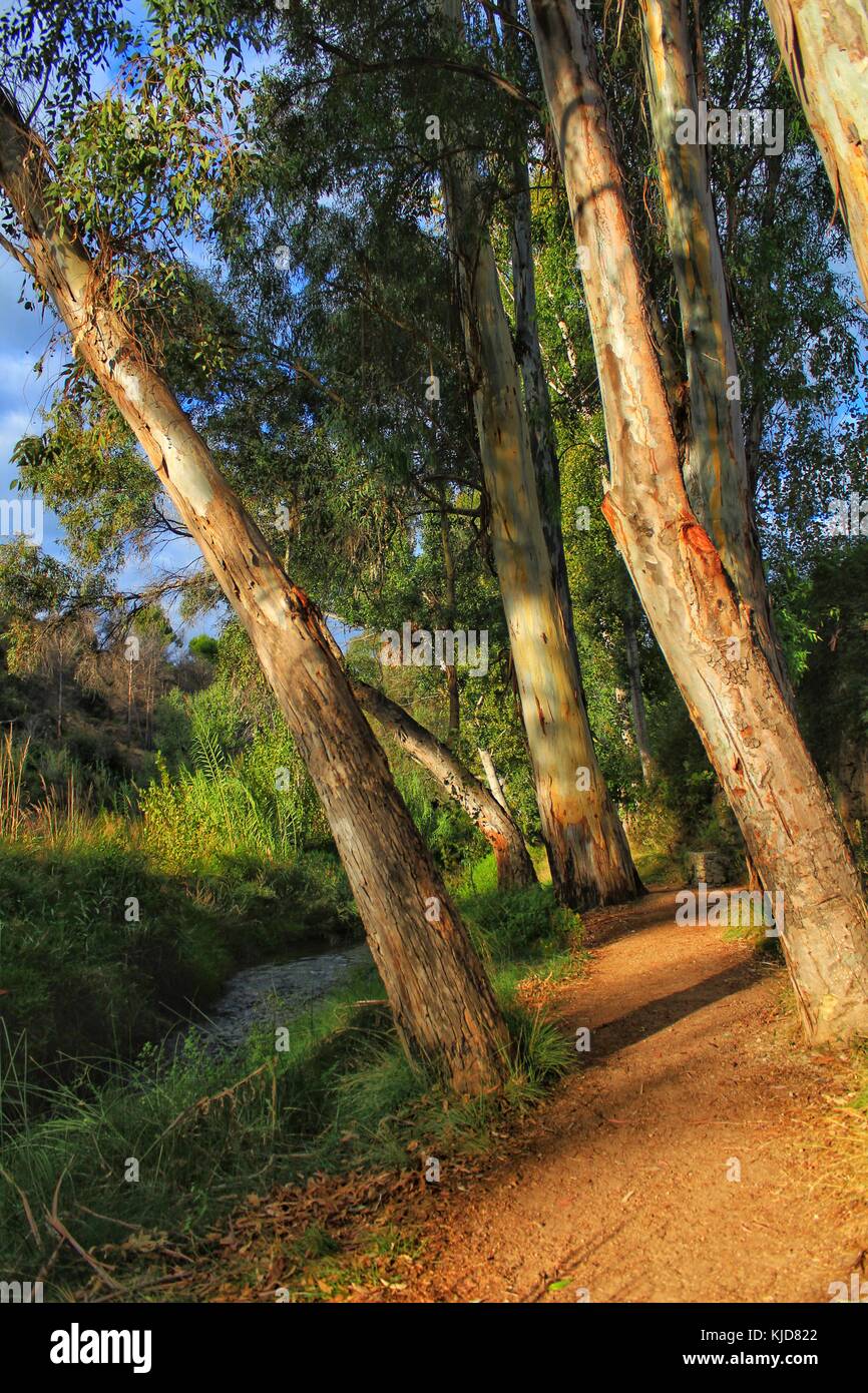 Green landscape by the river Stock Photo - Alamy