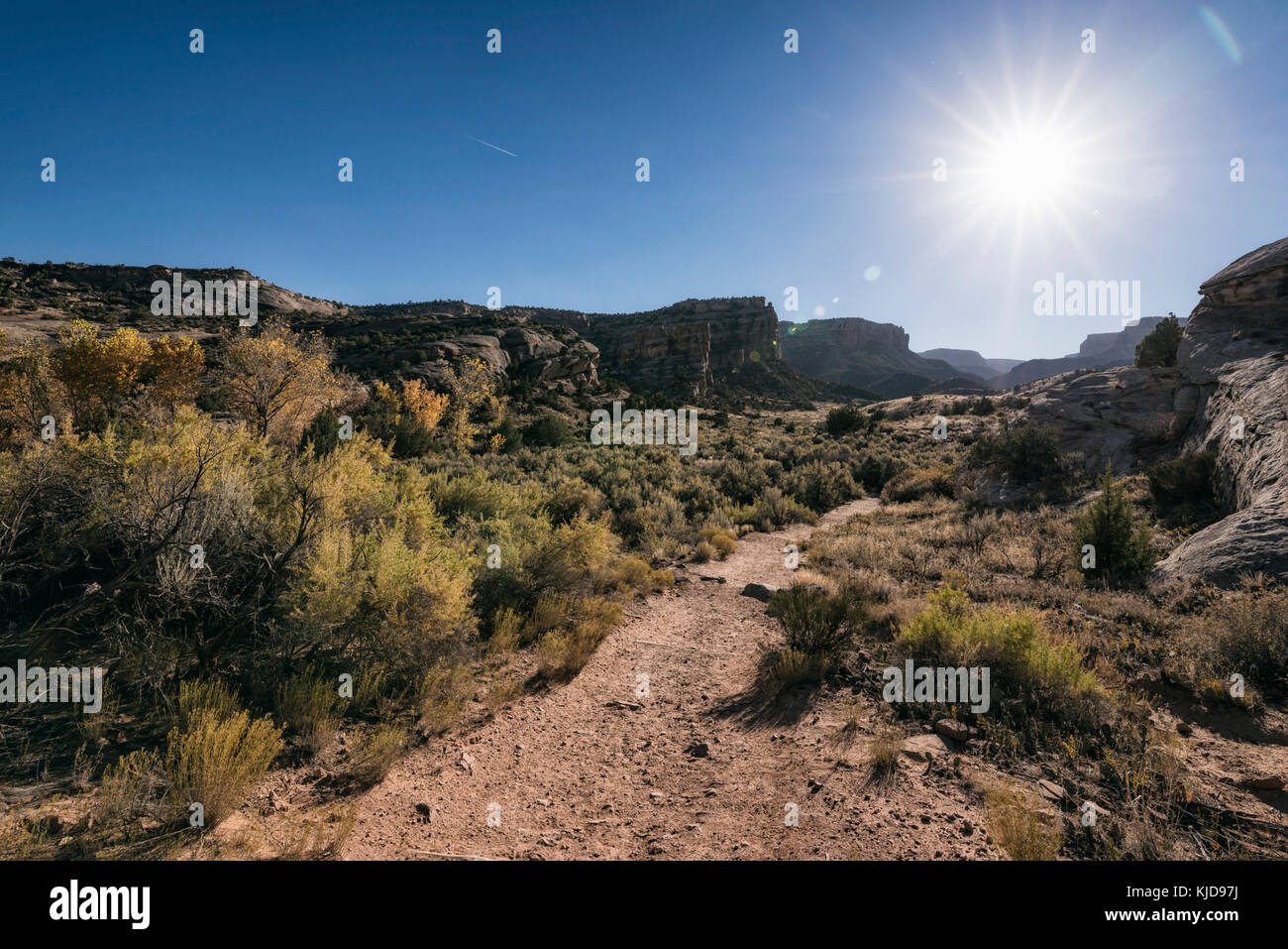 Sun in blue sky over desert Stock Photo - Alamy