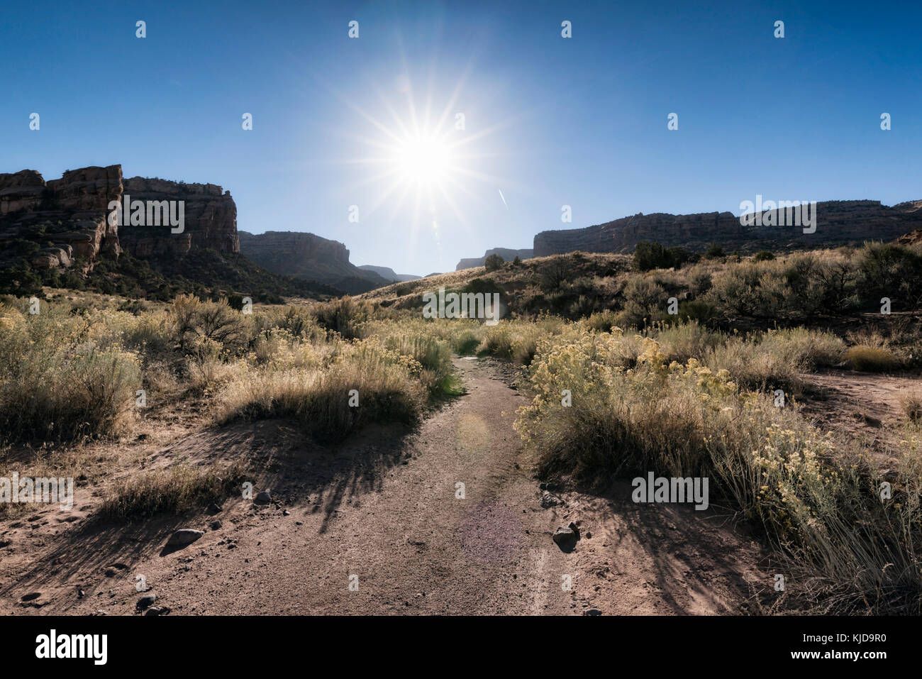 Sun in blue sky over desert path Stock Photo - Alamy
