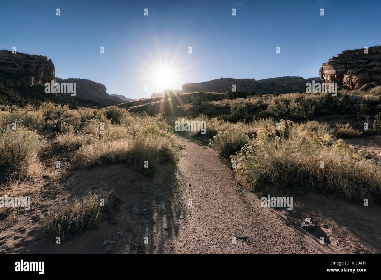 Sun in blue sky over desert Stock Photo - Alamy