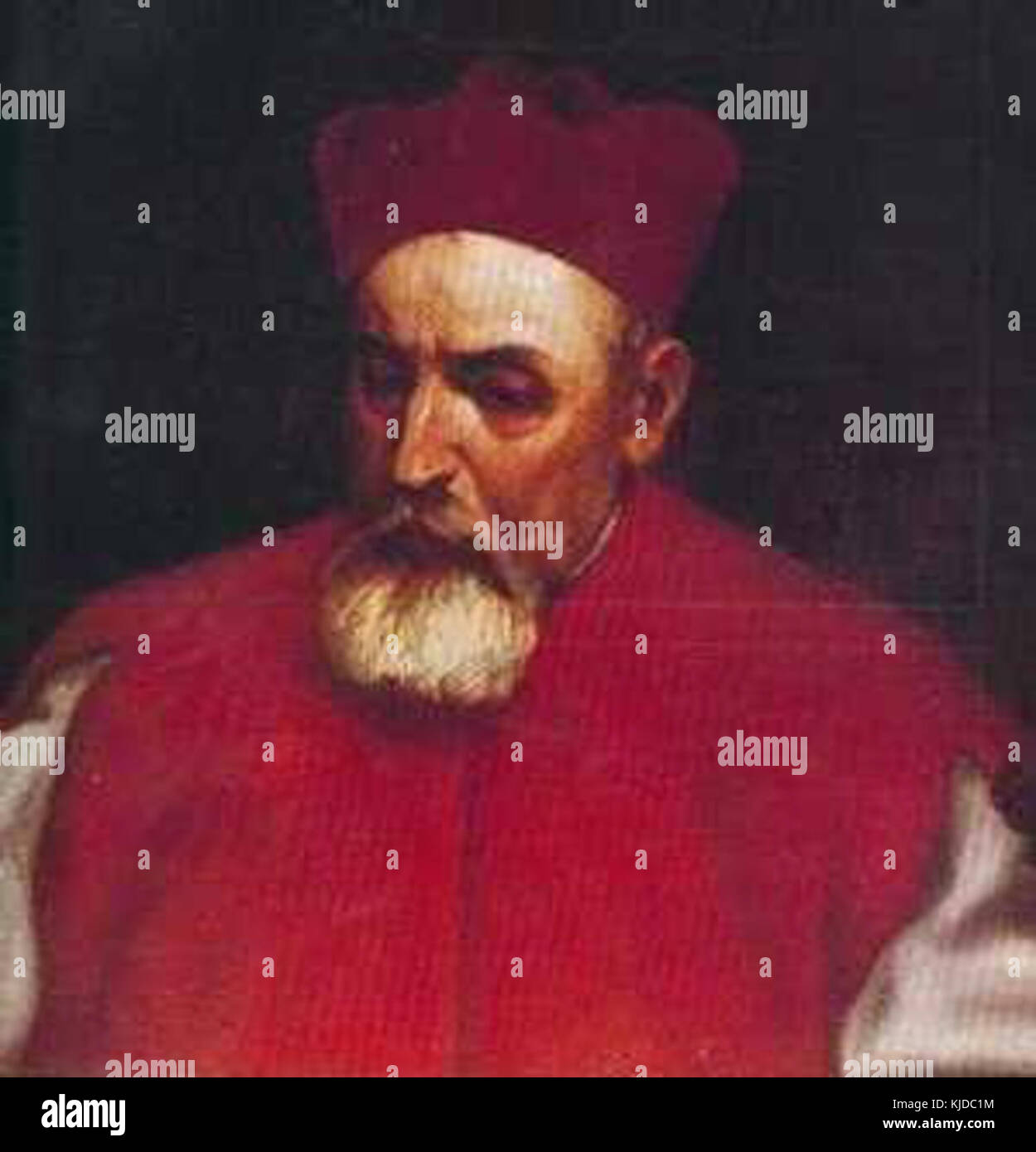 Pazmany hi-res stock photography and images - Alamy