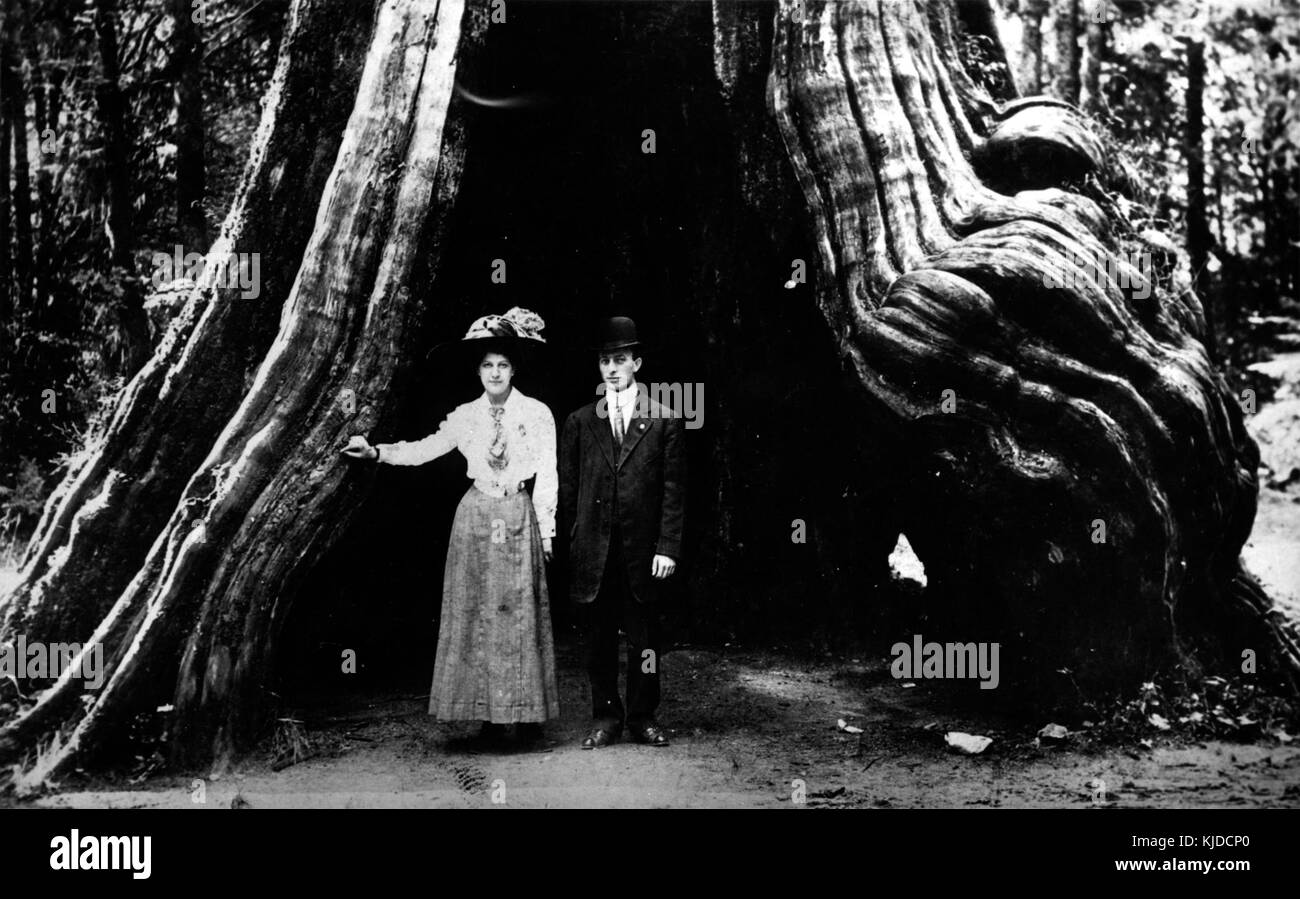 Mr. & Mrs. Myer Reifman at Hollow Tree Stock Photo - Alamy