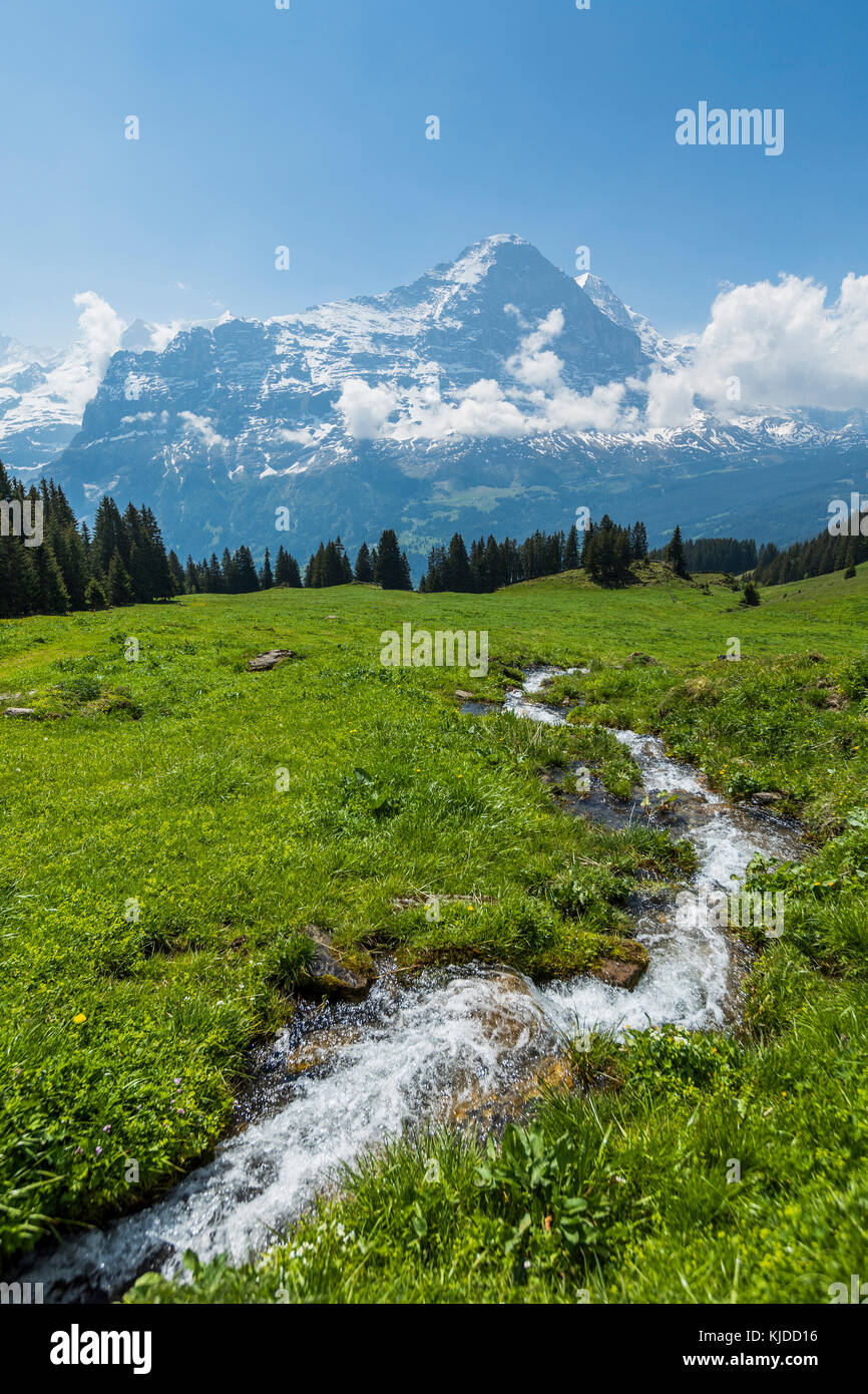 Stream in field near mountains Stock Photo - Alamy