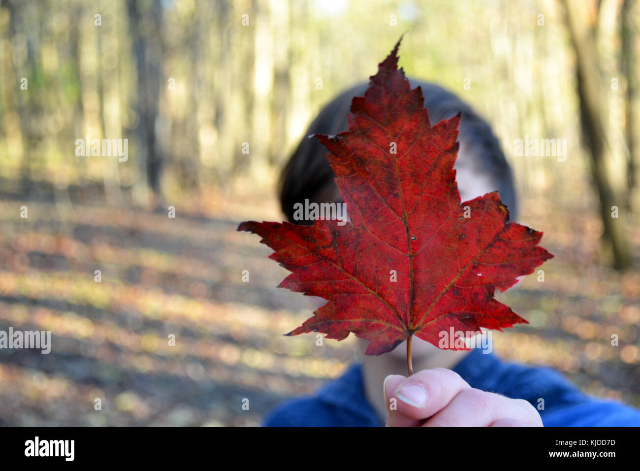 Child discover sun hi-res stock photography and images - Alamy
