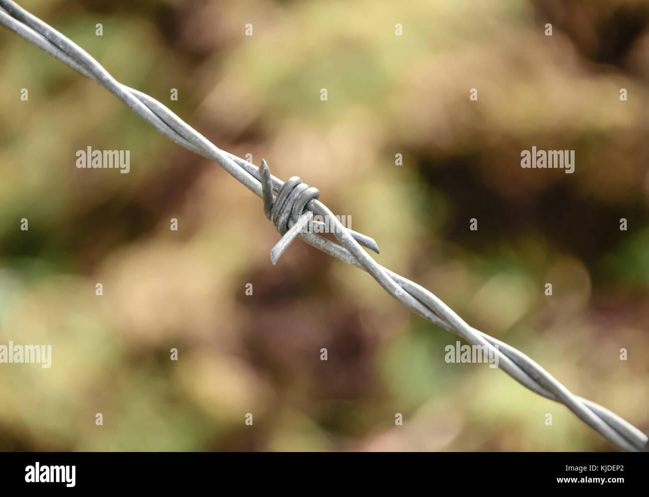 Barb wire fence vector hi-res stock photography and images - Alamy
