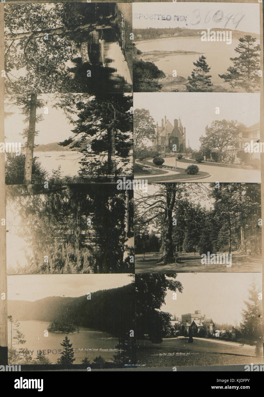 The Victoria Series No 19 6 is part of a collection, likely related to ...