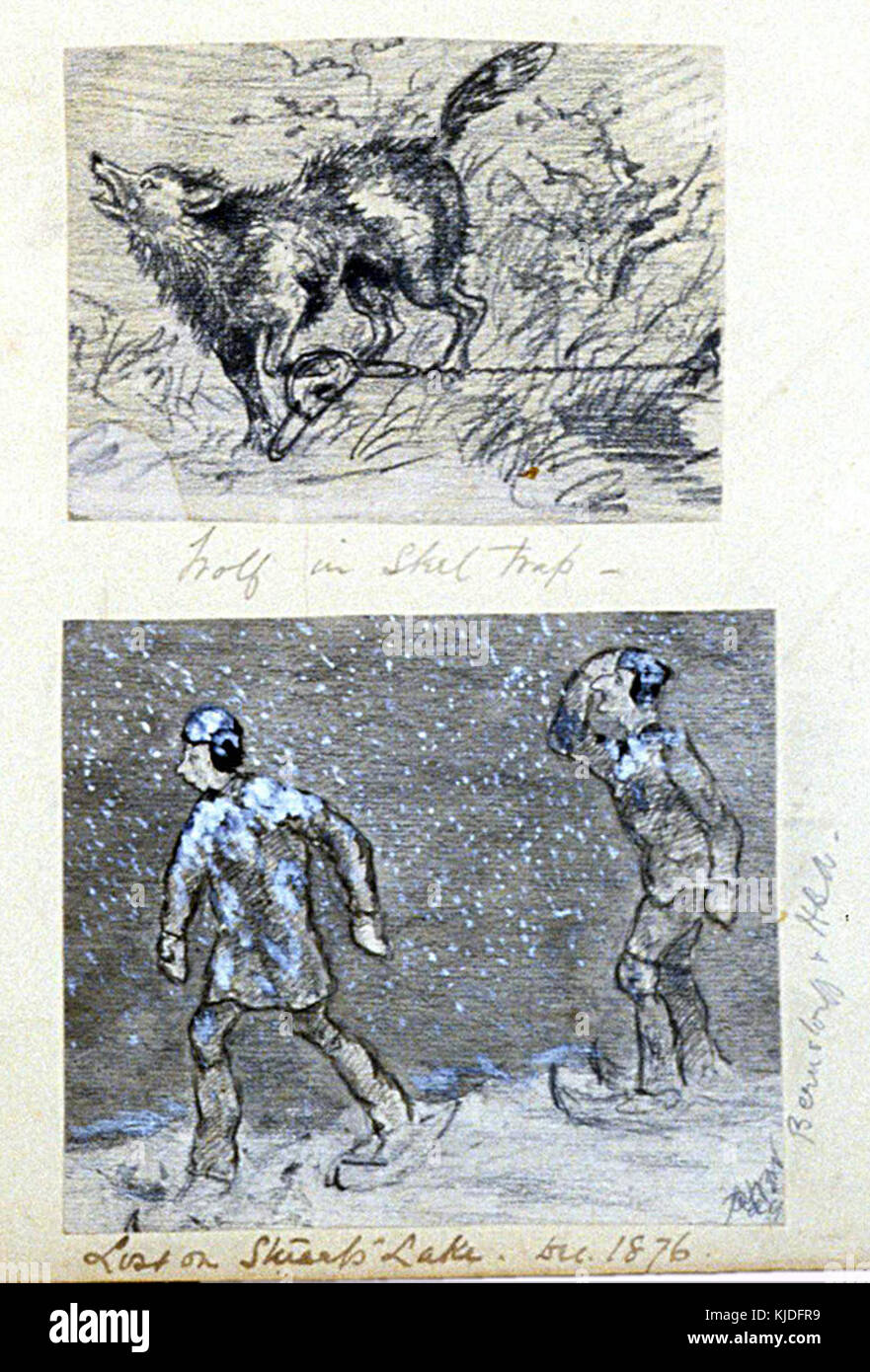 Steel trap hi-res stock photography and images - Alamy