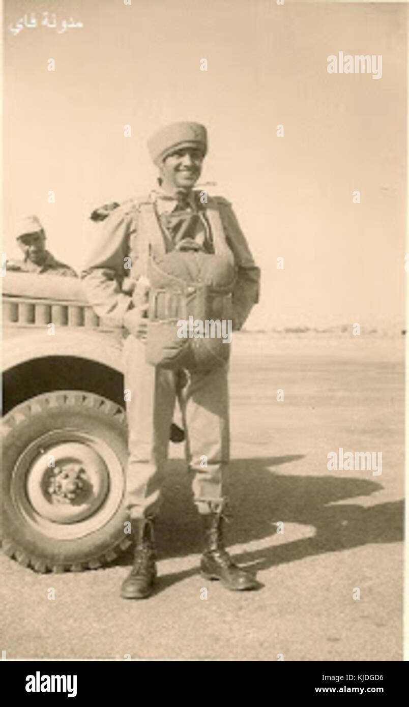 Saad el Shazly airborne Stock Photo - Alamy