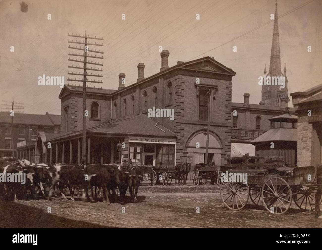 St. Lawrence Market by Micklethwaite Stock Photo - Alamy
