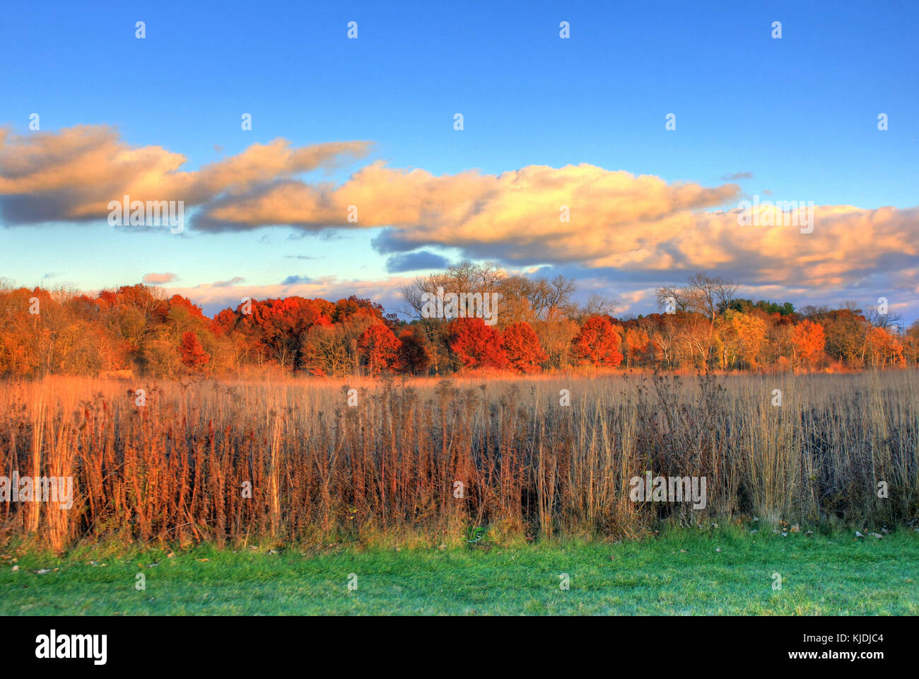 Wisconsin madison arboretum hi-res stock photography and images - Alamy
