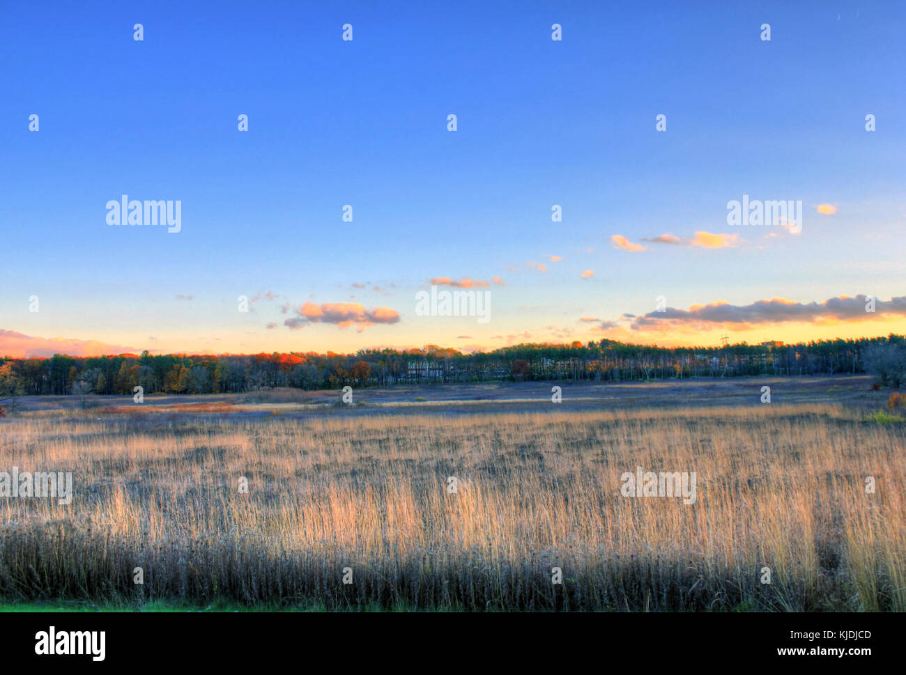 Madison fields hi-res stock photography and images - Alamy