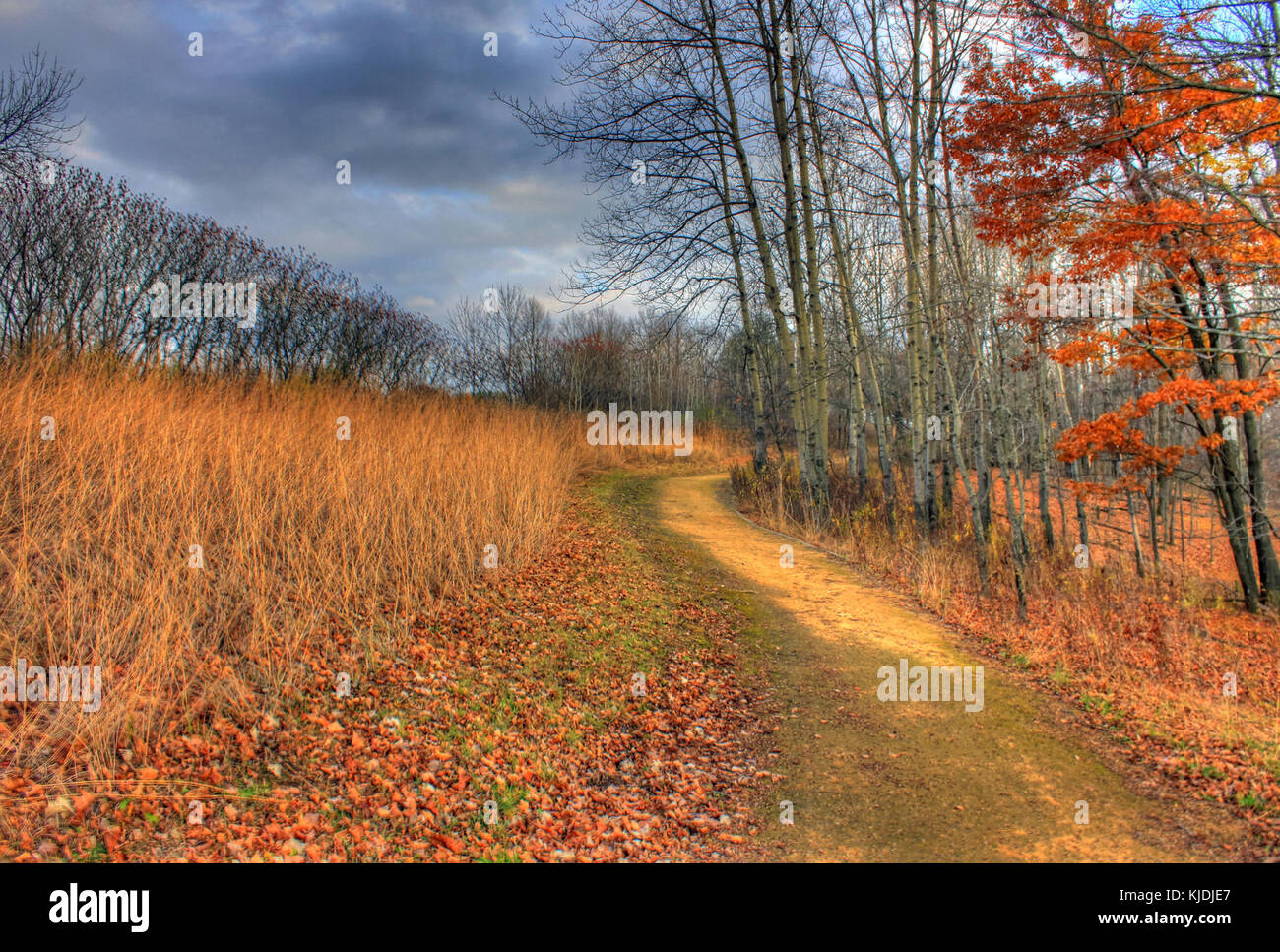Gfp wisconsin wildcat mountain state park hiking trail at wildcat ...