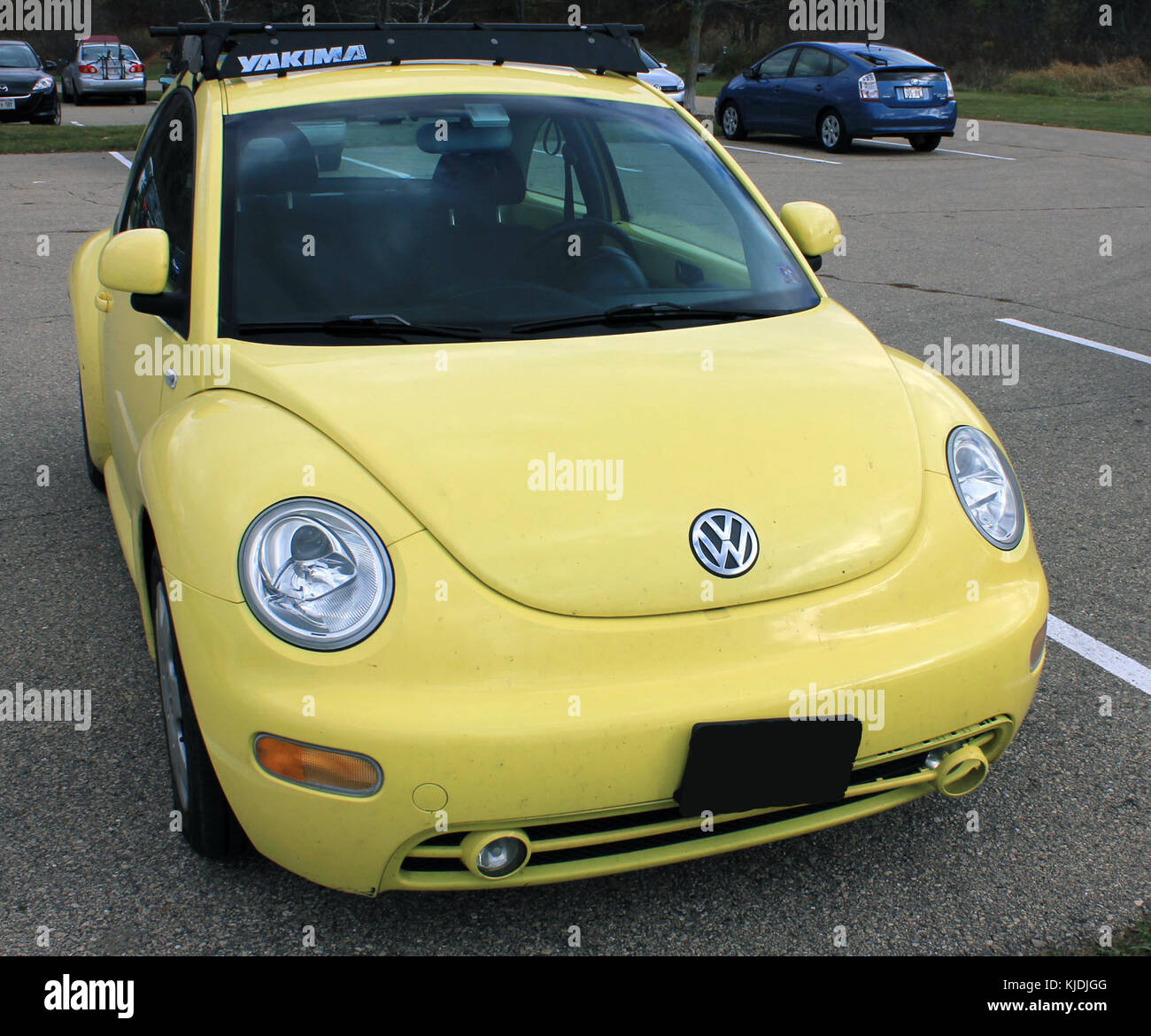 Gfp yellow bug Stock Photo - Alamy