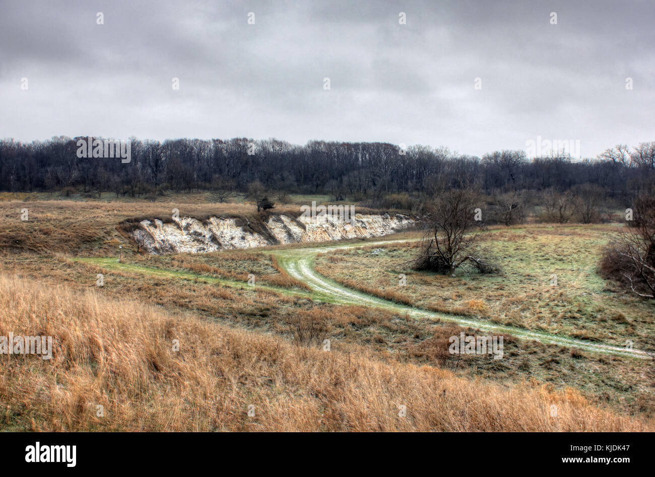 Gfp illinois shabbona lake state park landscape Stock Photo - Alamy