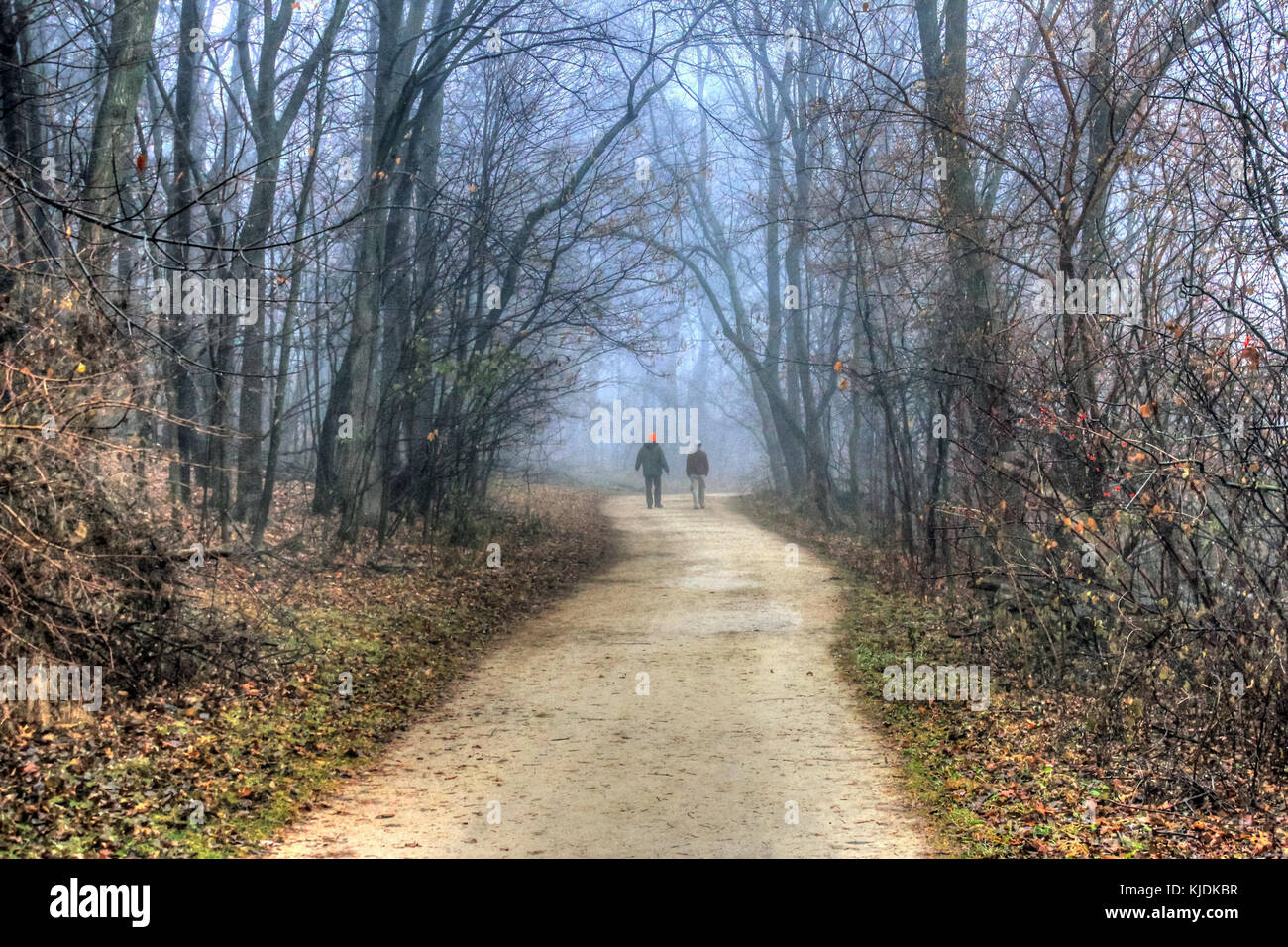 Gfp wisconsin madison people walking into misty forest Stock Photo - Alamy