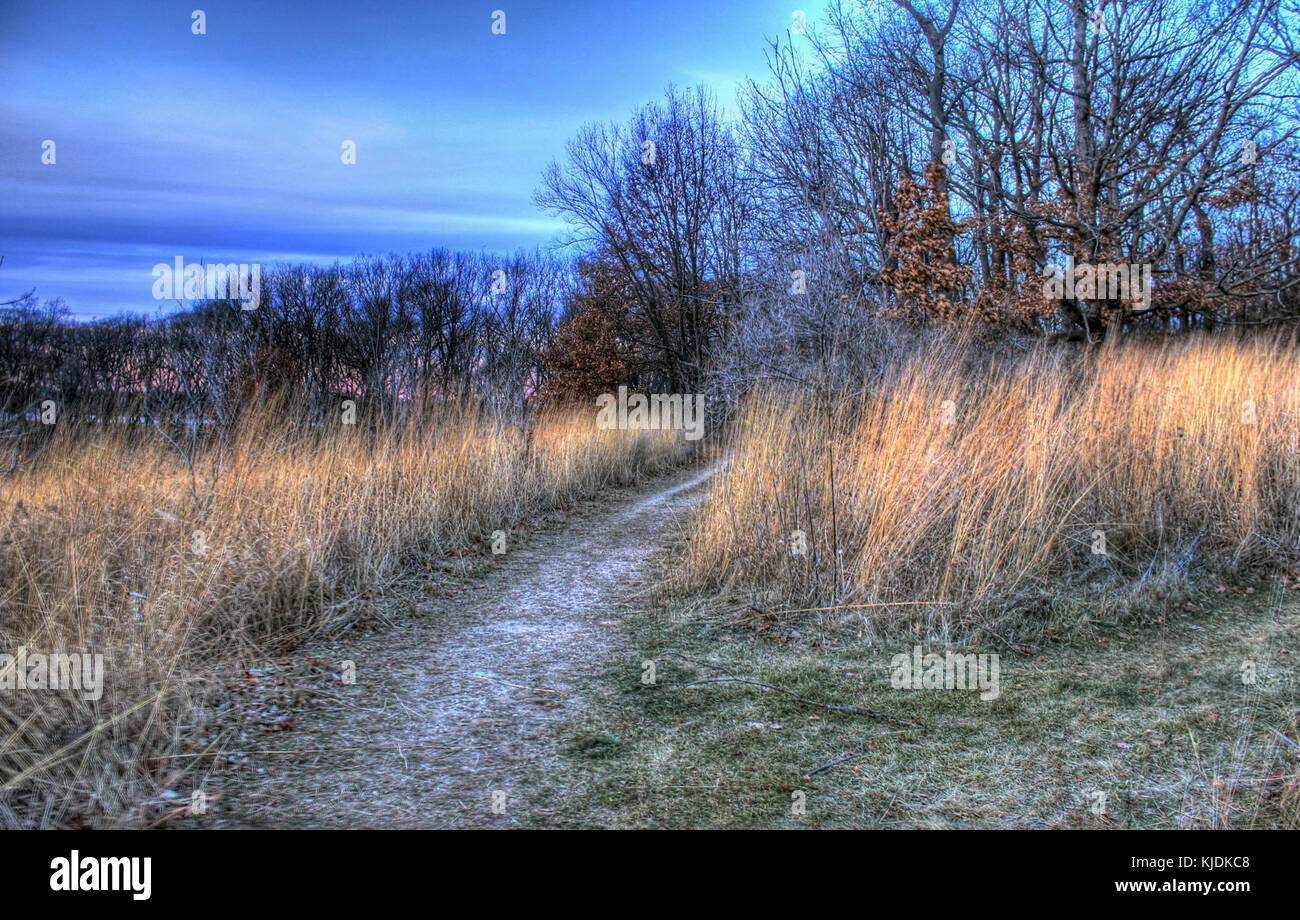Marshland scenery hi-res stock photography and images - Alamy