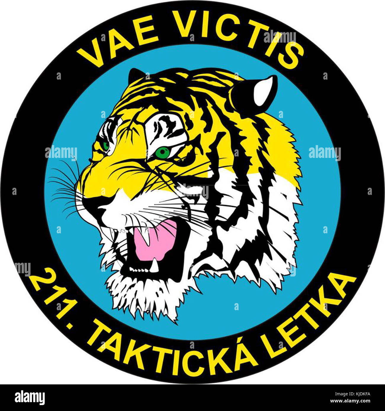 211th Tactical Squadron Stock Photo - Alamy