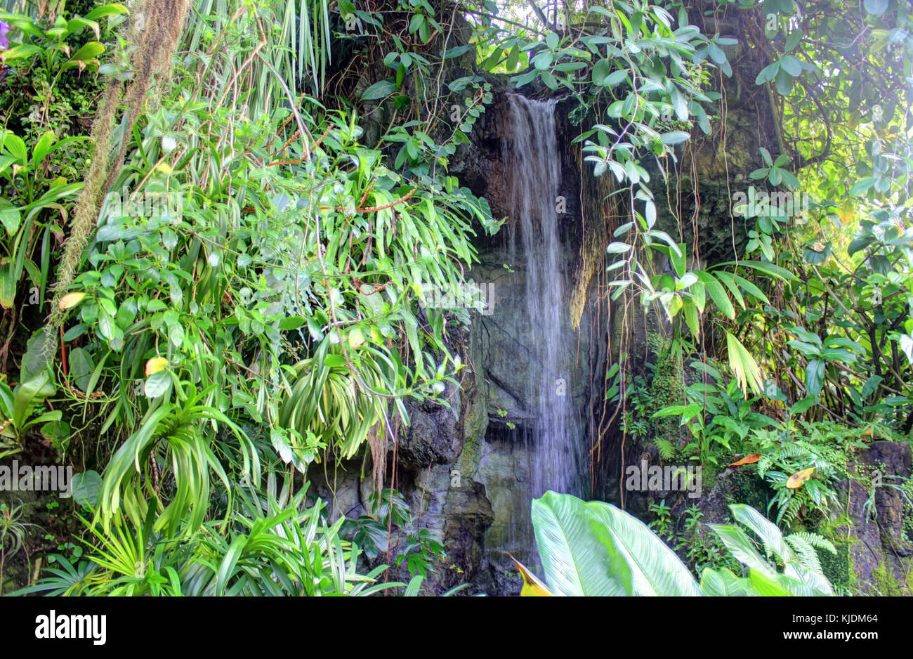 Gfp climatron waterfall st louis botanical gardens Stock Photo - Alamy