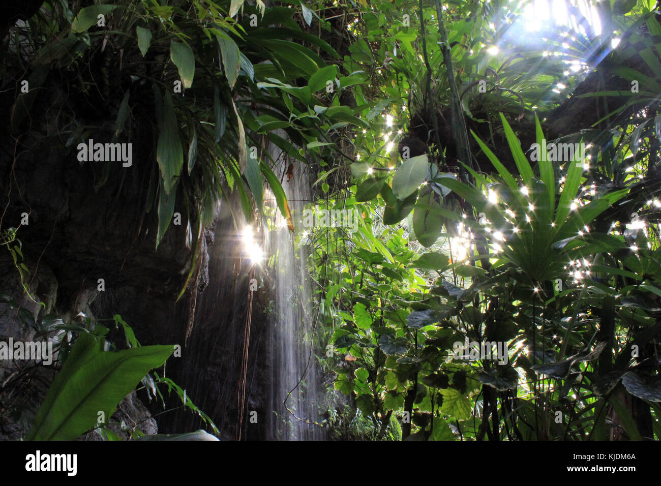 Gfp st louis botanical gardens light shining on waterfalls Stock Photo ...