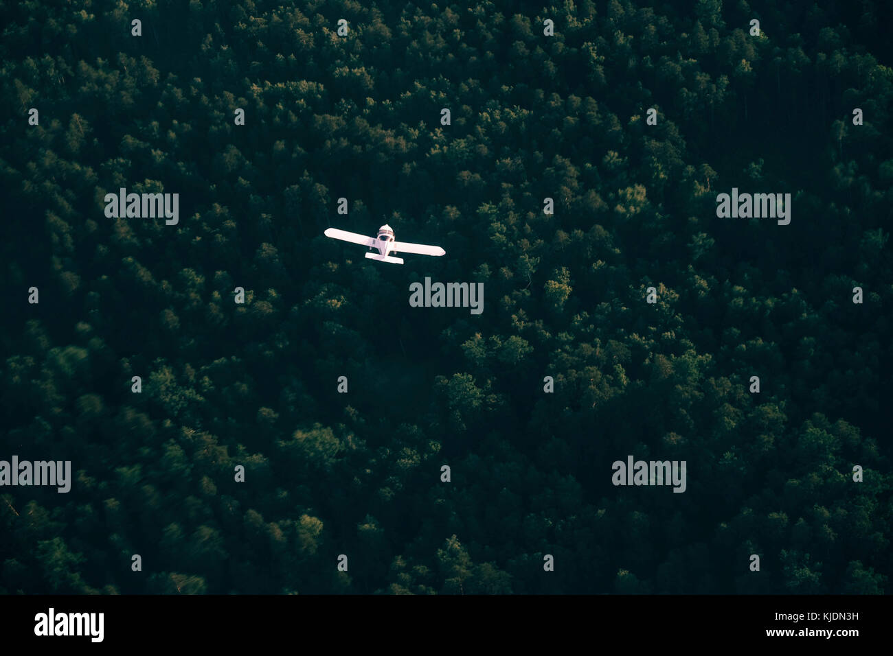 Aerial view of airplane flying over trees Stock Photo - Alamy