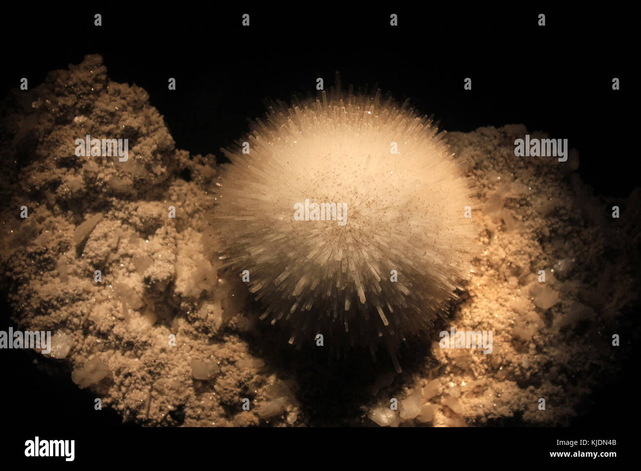 Hydroxyl herderite hi-res stock photography and images - Alamy