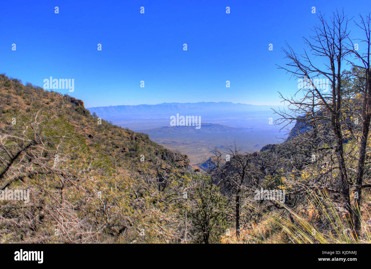 The image depicts the Double Mountains in Big Bend National Park, Texas ...
