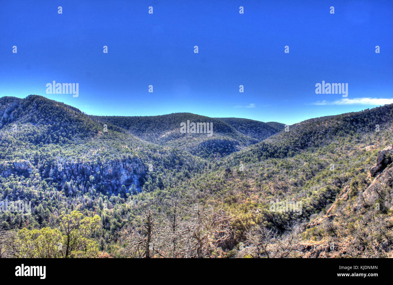 Gfp texas big bend national park mountain horizon Stock Photo - Alamy