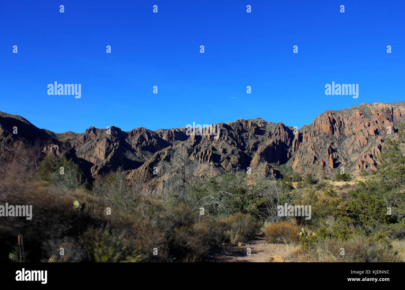 Emory peak big bend national park hi-res stock photography and images ...
