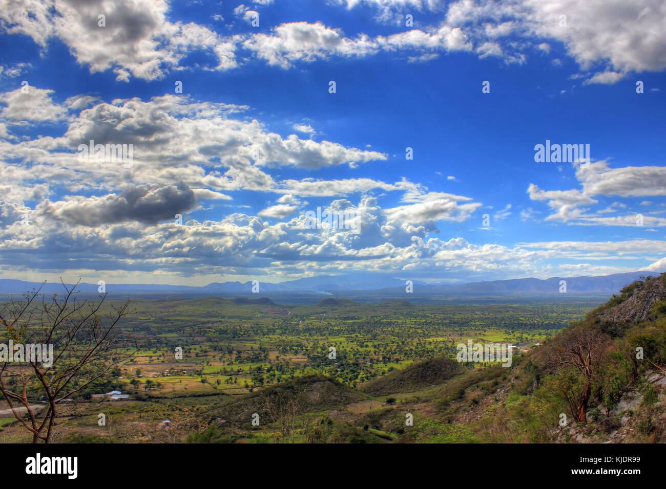 Character looking forward hi-res stock photography and images - Alamy