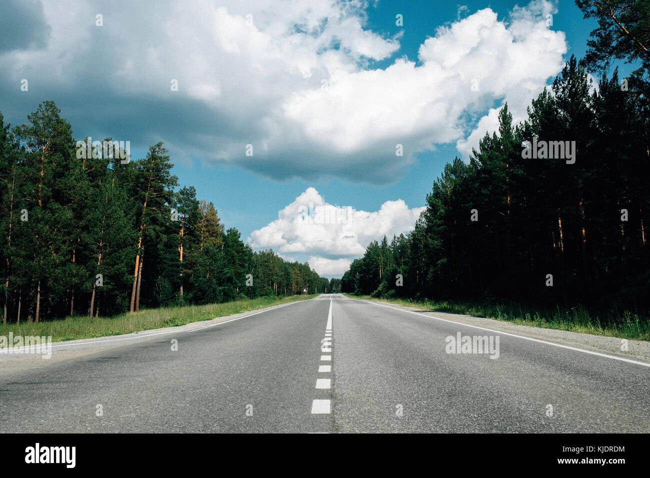 Trees near distant road Stock Photo - Alamy