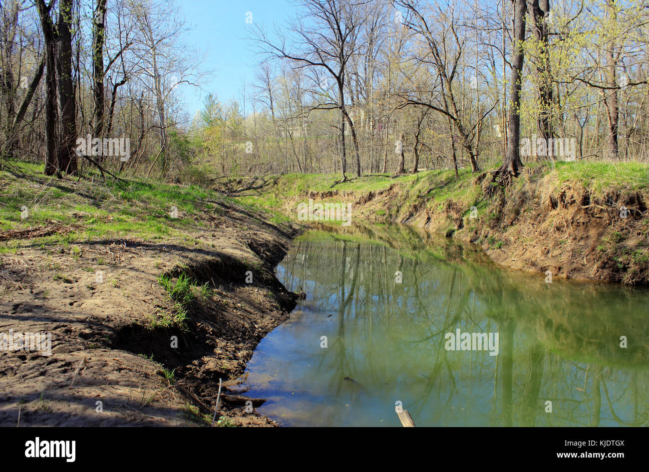 Gfp st louis shore of thebrook Stock Photo - Alamy