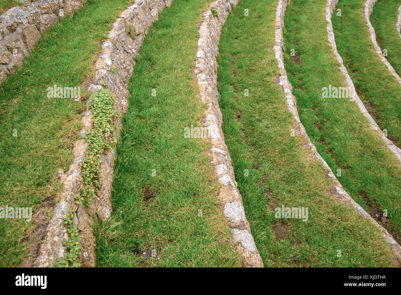 Turf garden steps hi-res stock photography and images - Alamy