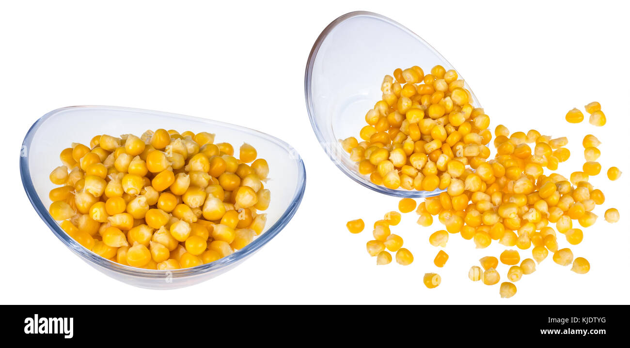 Two bowls of yellow corn grains - full and spilled. Boiled corn ...