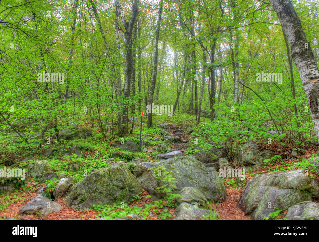 Rib mountain wisconsin hi-res stock photography and images - Alamy