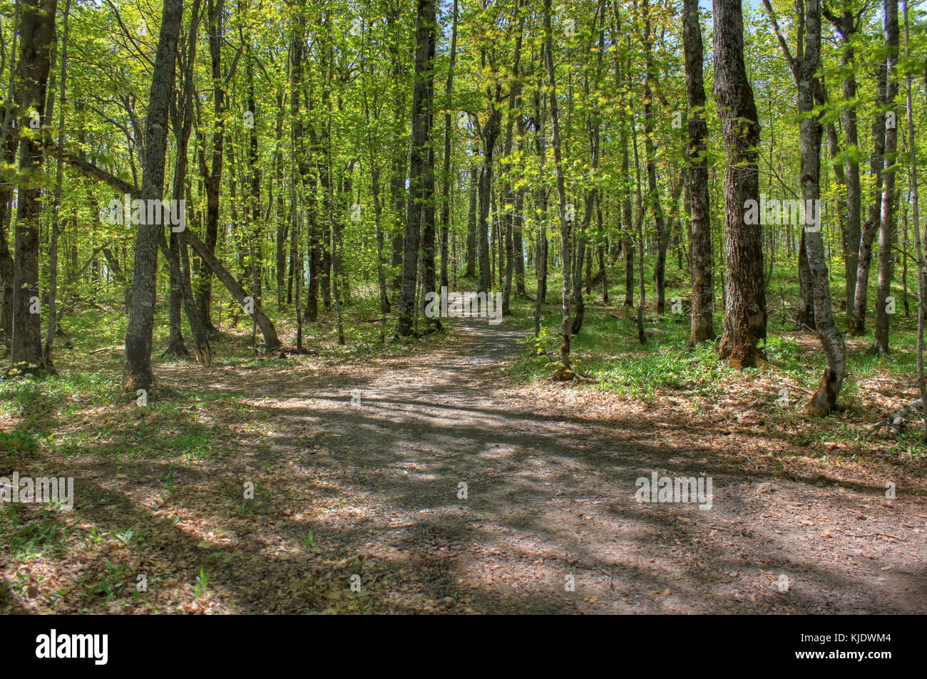 This photograph captures the scenic view from Mount Arvon, located in ...