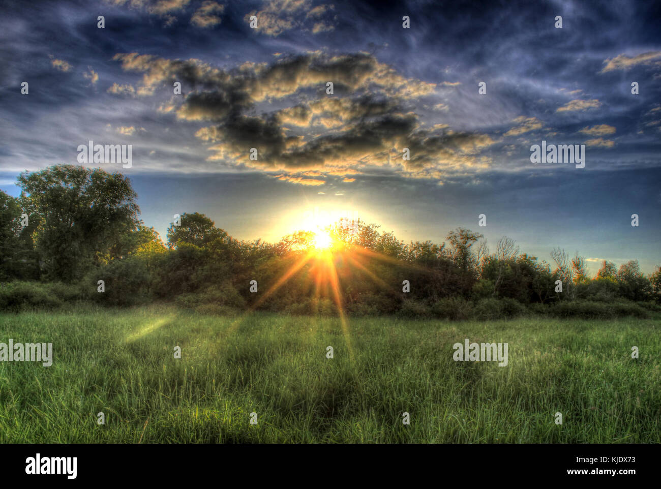 Gfp wisconsin madison sunset over the trees Stock Photo - Alamy