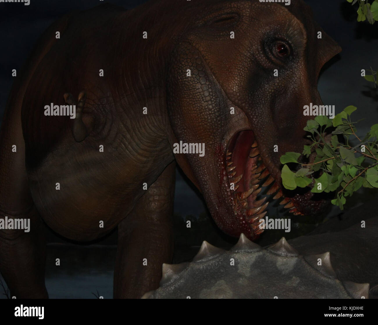 T rex dinosaur illustration hi-res stock photography and images - Alamy