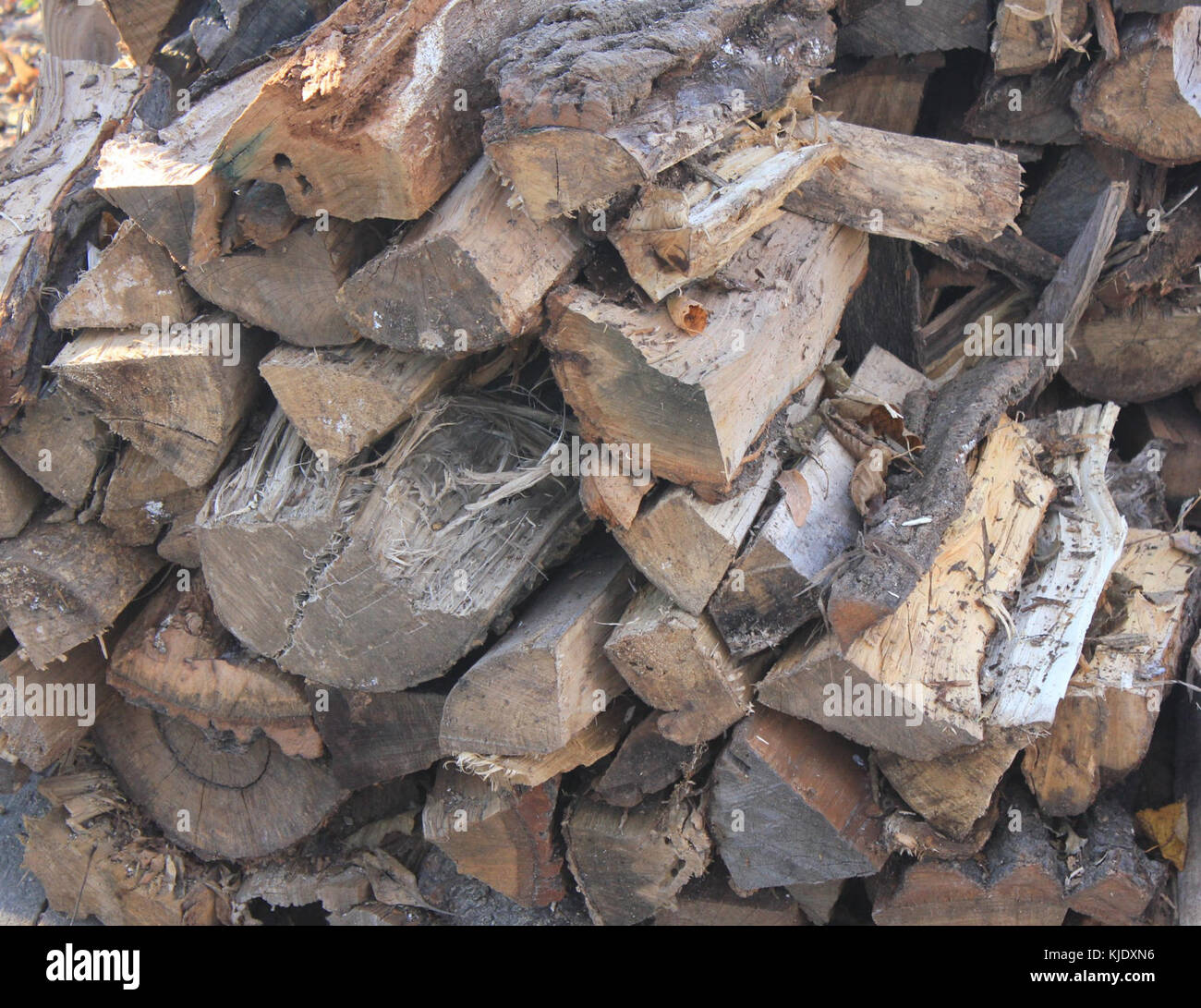 This image refers to a collection or depiction of firewood from the ...