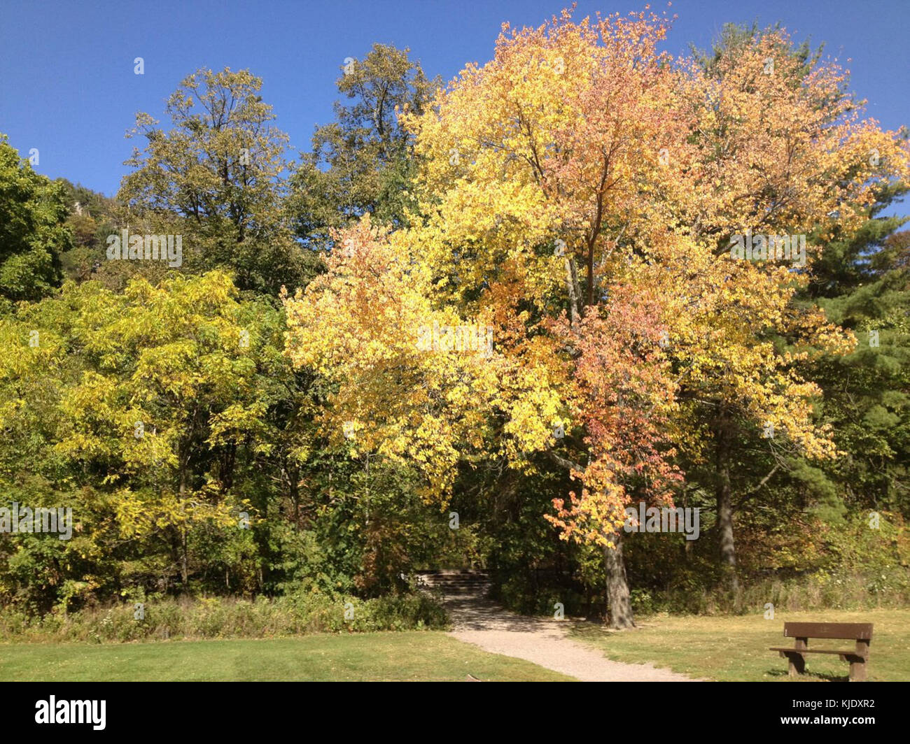 Gfp wisconsin devils lake state park fall colors at base of hiking ...
