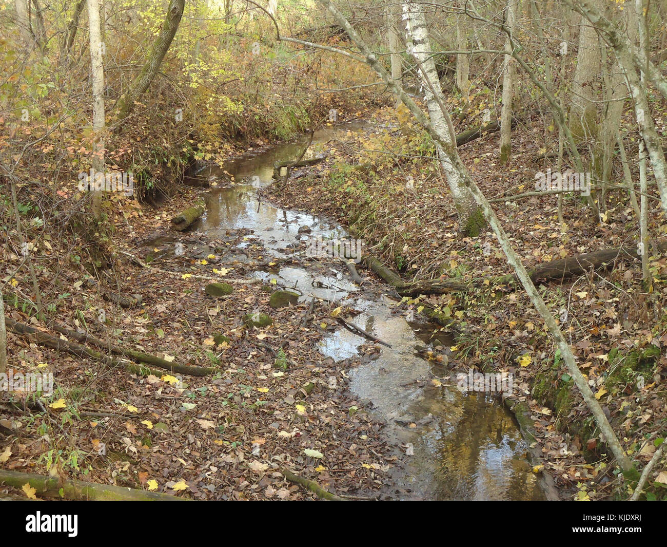 Gfp wisconsin governor dodge state park creek Stock Photo - Alamy