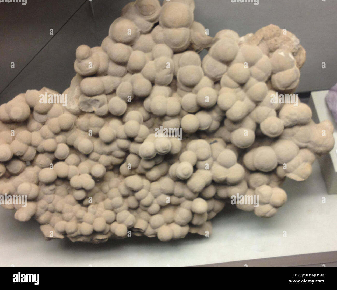 Old concretions hi-res stock photography and images - Alamy