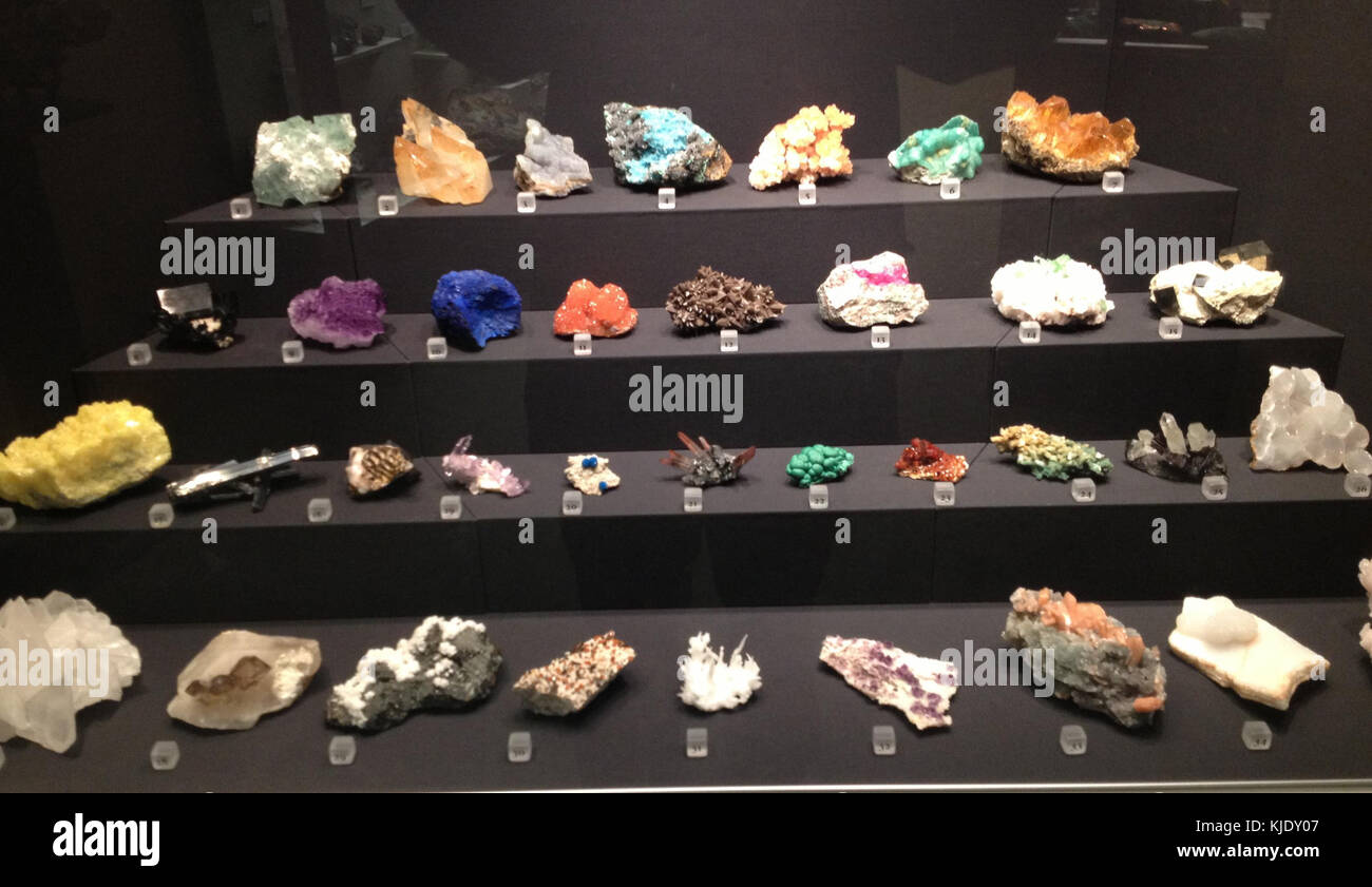 This display case showcases a variety of minerals under GFP (green ...
