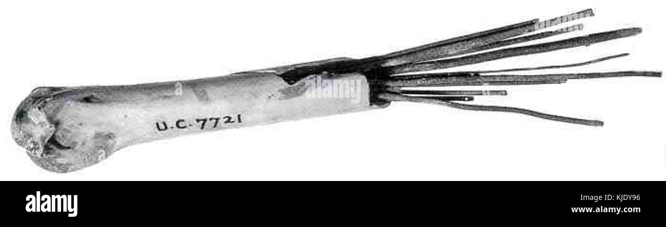 Ancient Egyptian surgical needles Stock Photo - Alamy