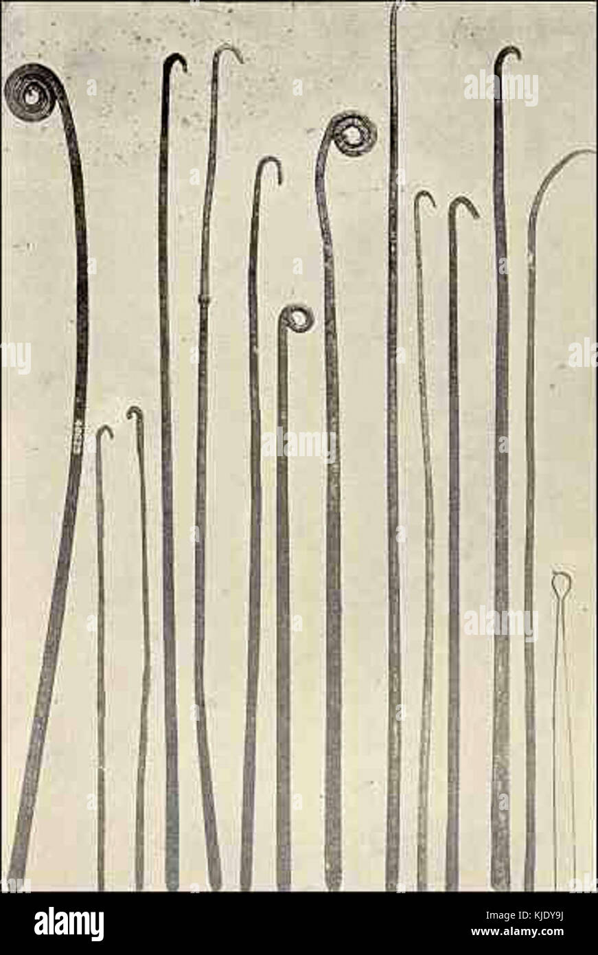 Ancient Egypt Medical tools6 Stock Photo - Alamy