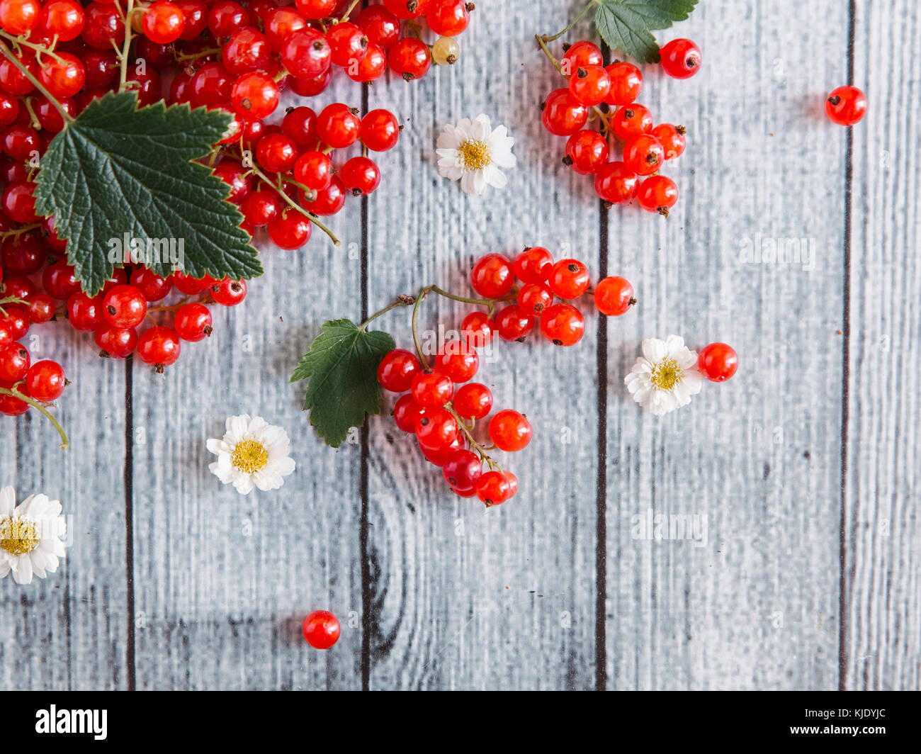 Negative leaf frame motif hi-res stock photography and images - Alamy