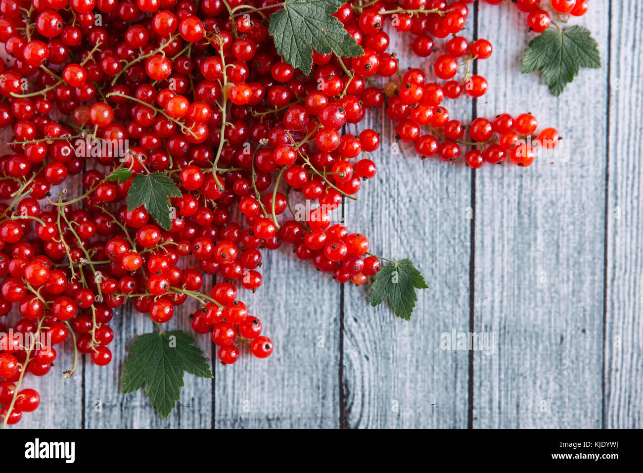 Red berries and leaves on table Stock Photo - Alamy