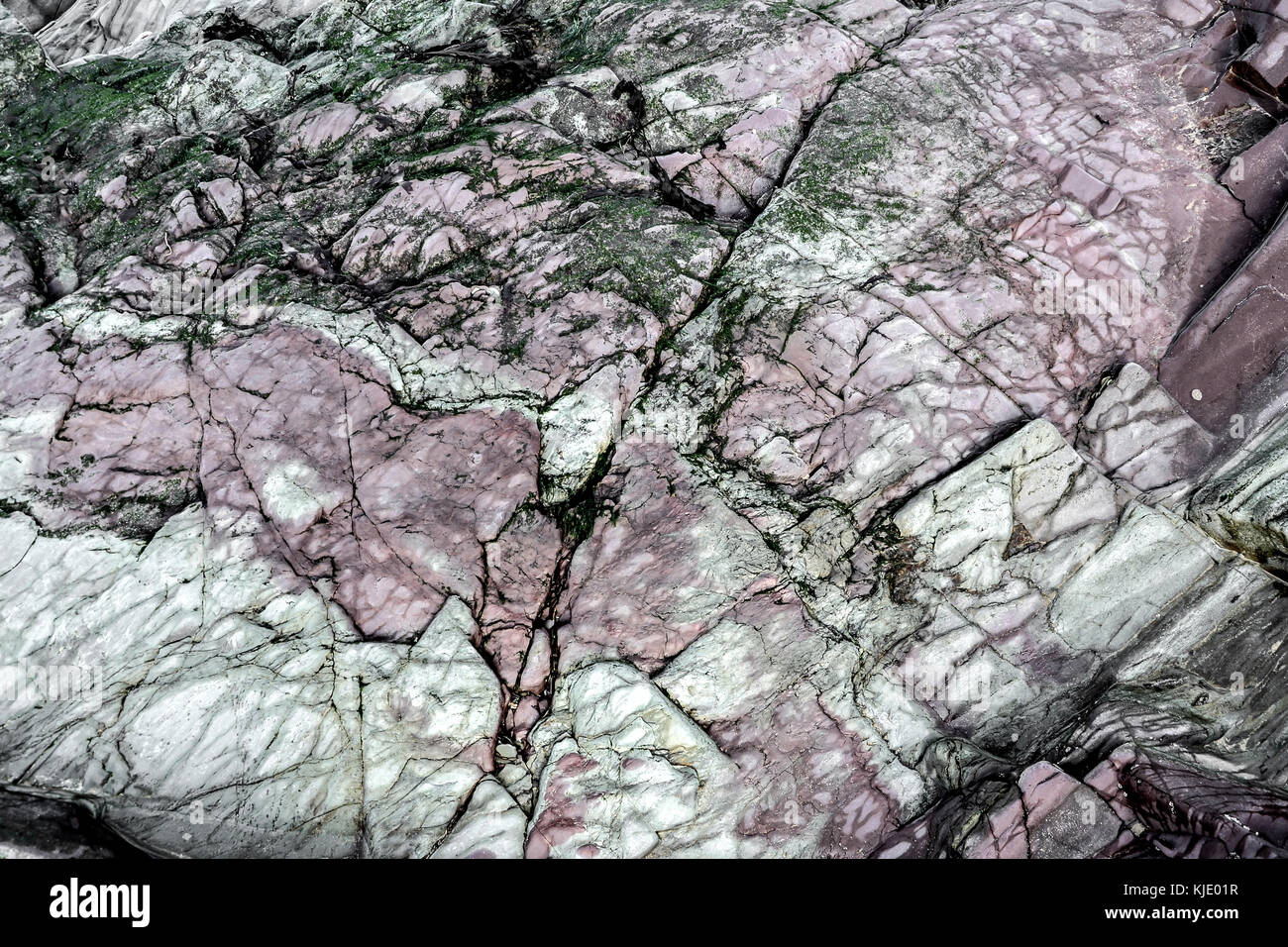 Fossil layers ground surface hi-res stock photography and images - Alamy