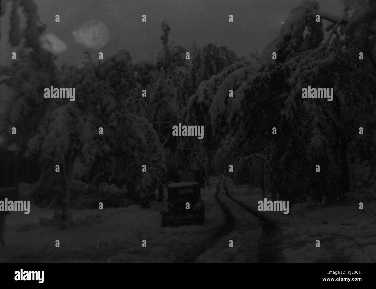 Cars family Black and White Stock Photos & Images - Alamy